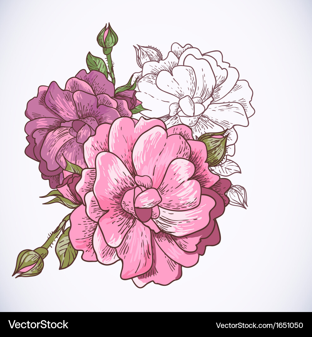 Beautiful rose background Royalty Free Vector Image
