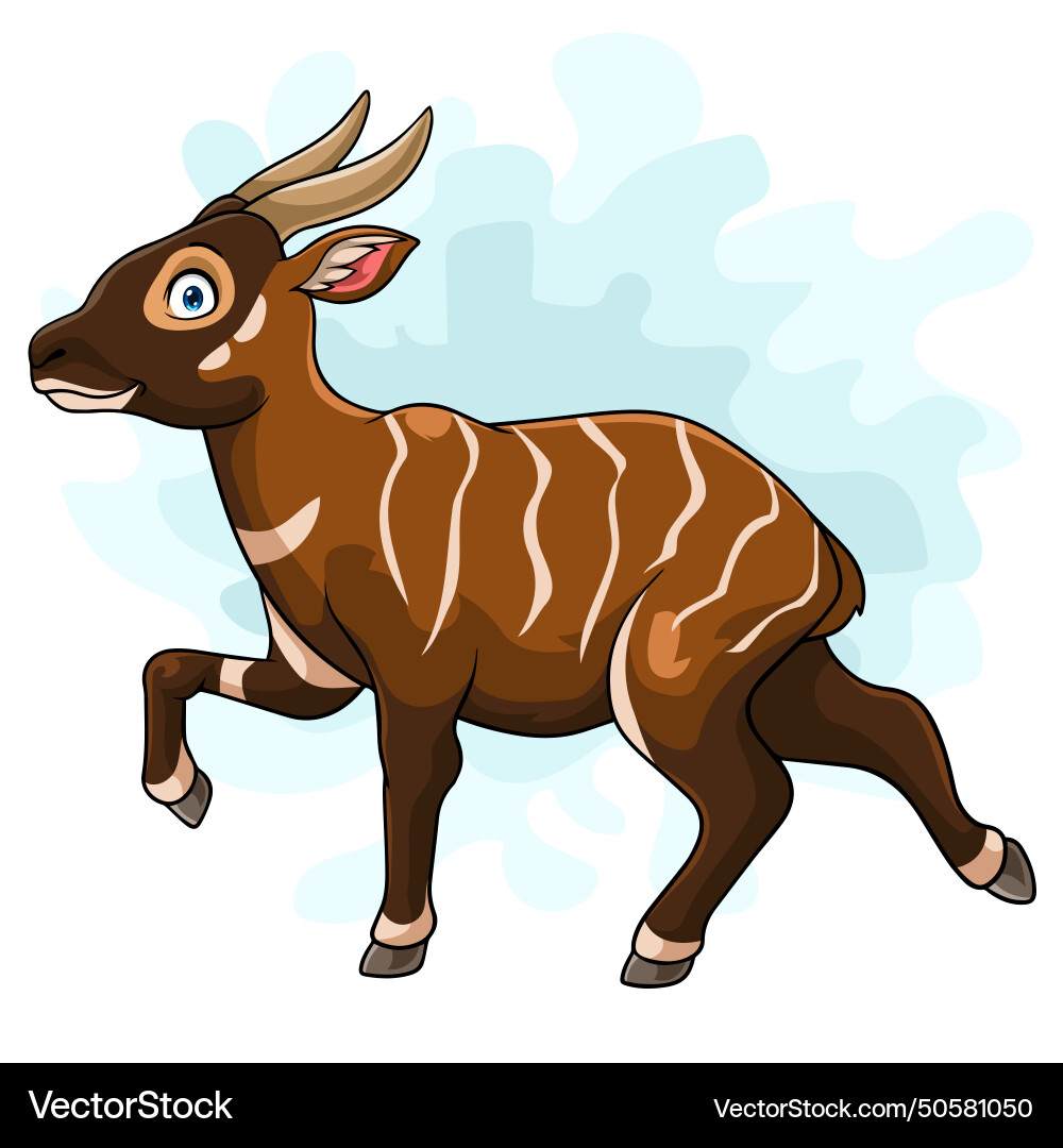 Cartoon bongo on white background Royalty Free Vector Image