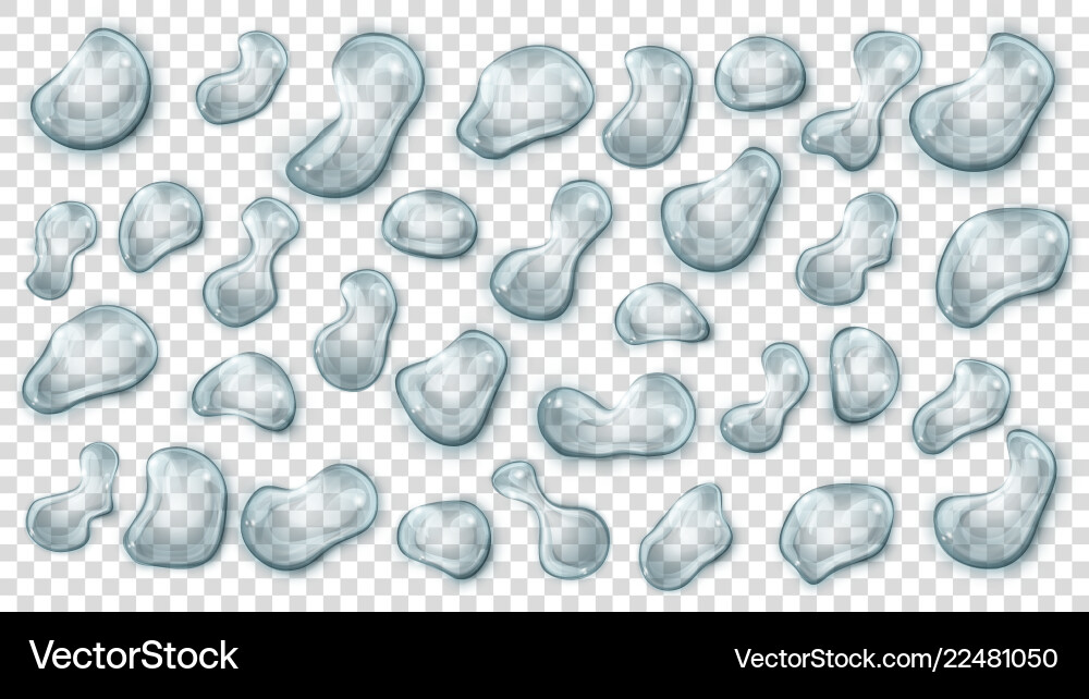 Transparent gray drops Royalty Free Vector Image