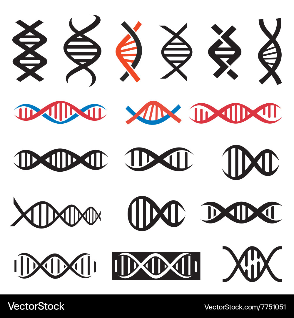 Dna Royalty Free Vector Image - VectorStock
