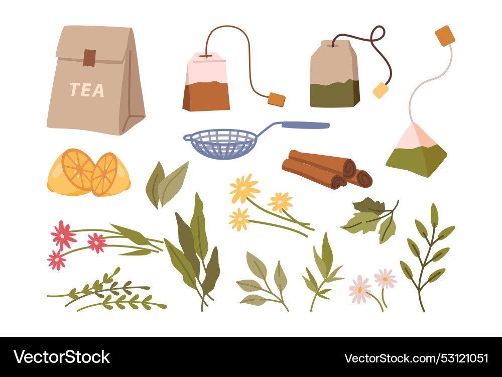 Natural beverage herbal tea set for brewing Vector Image