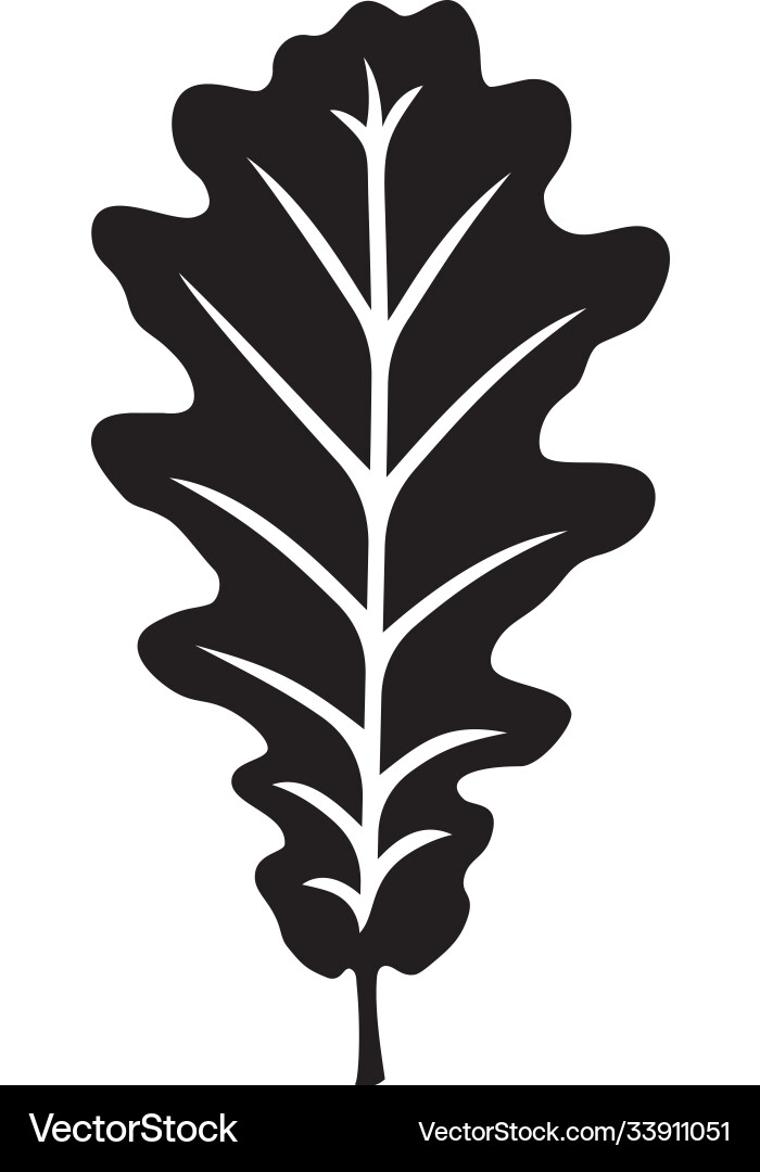 Oak leaf Royalty Free Vector Image - VectorStock
