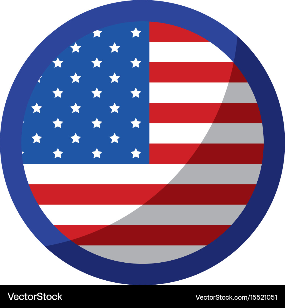 Usa country flag icon Royalty Free Vector Image