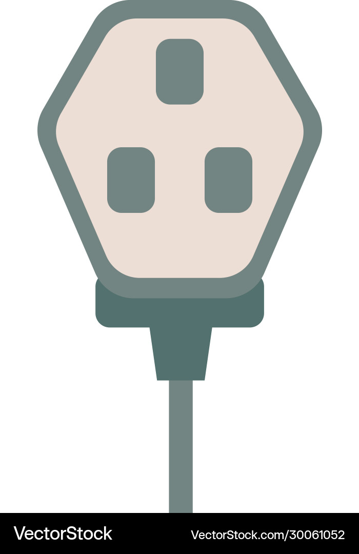 Electric connection socket isolated icon Vector Image