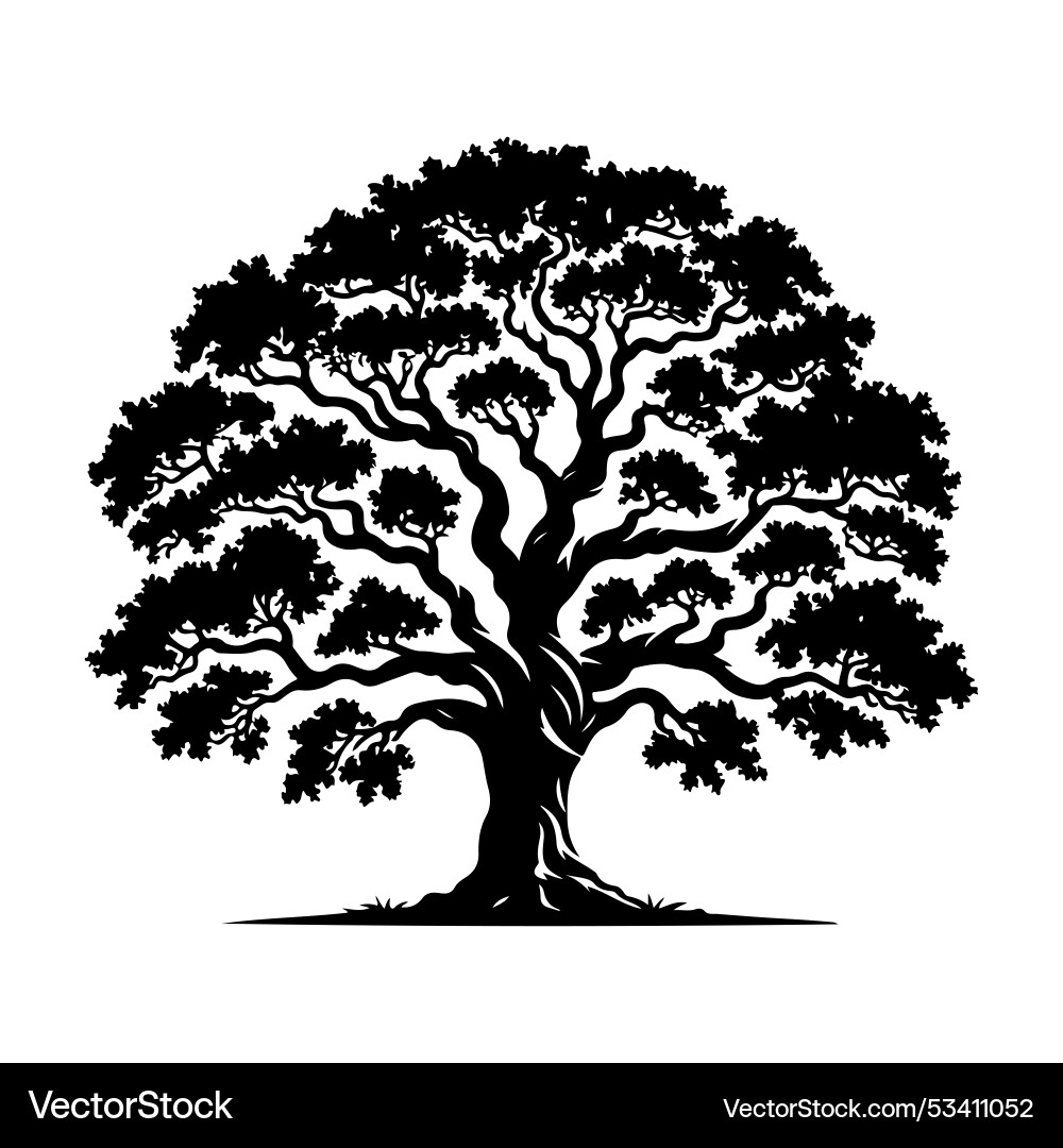 Oak tree art Royalty Free Vector Image - VectorStock