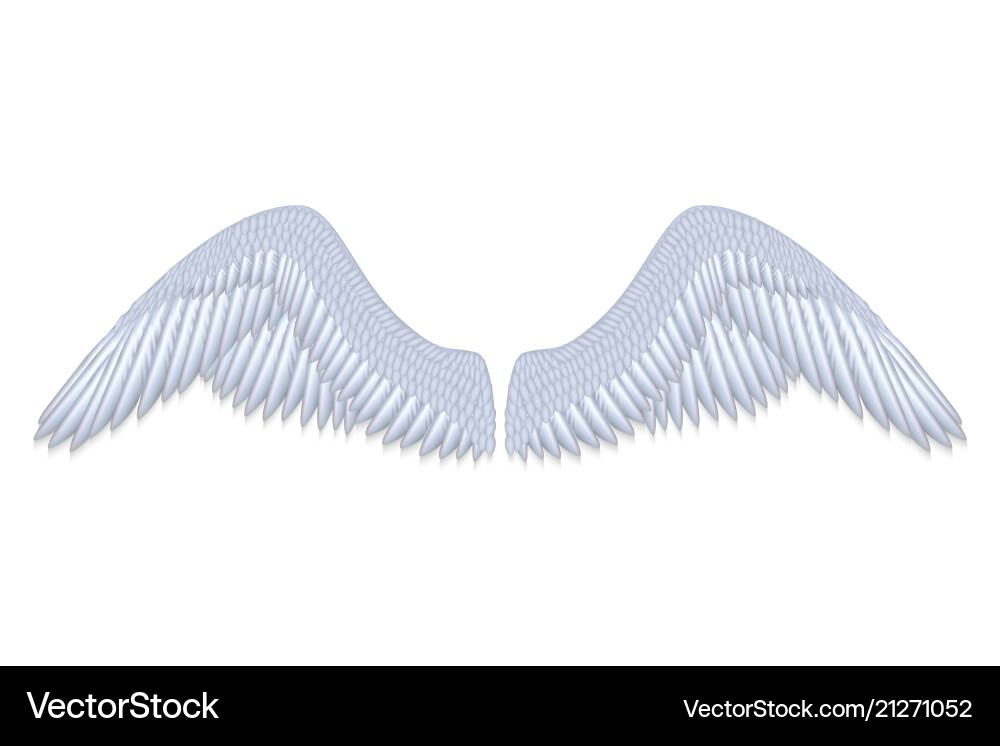 White angel wings Royalty Free Vector Image - VectorStock