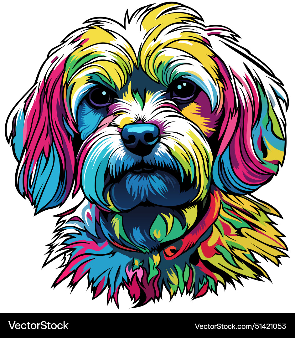 Colorful maltese dog portrait Royalty Free Vector Image