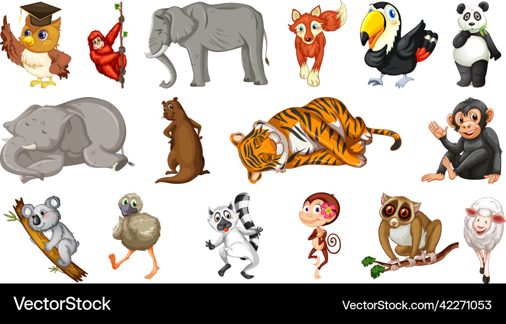 Many wild animals on white background Royalty Free Vector