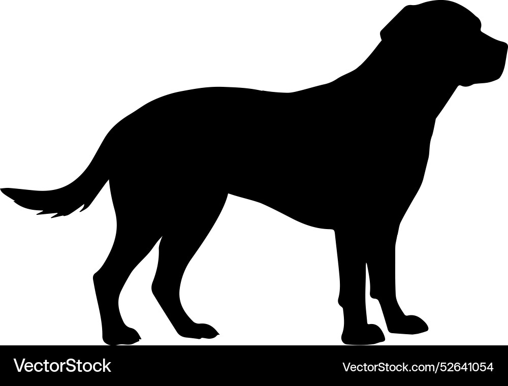 A labrador dog silhouette Royalty Free Vector Image