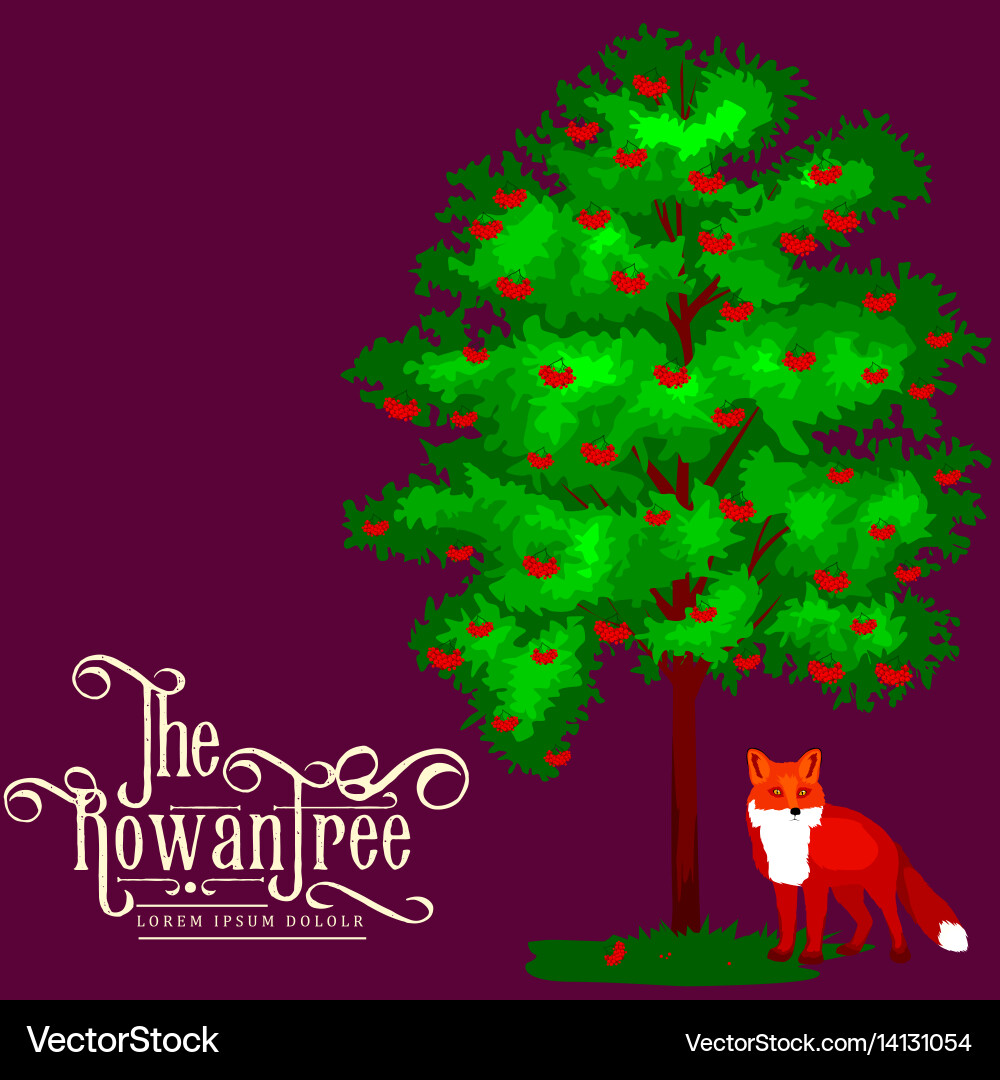 Cartoon isolated rowan summer tree on a white Vector Image