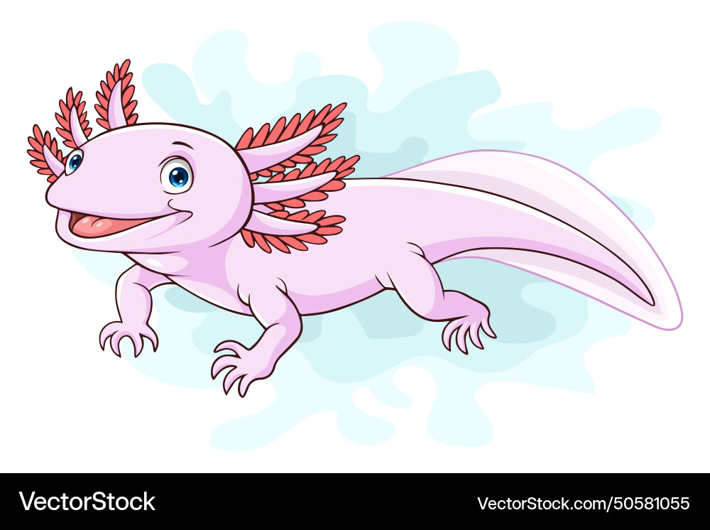 Cartoon axolotl on white background Royalty Free Vector