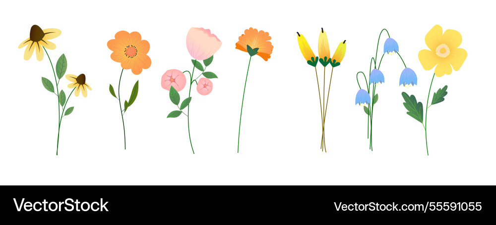 Collection of spring colorful flower elements Vector Image