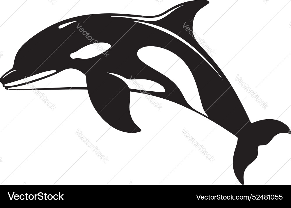 Playful pod adorable orca emblem petite poseidon Vector Image