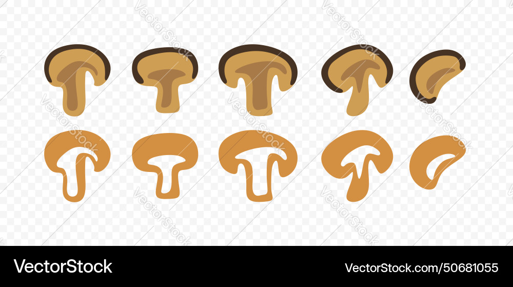 Sliced mushroom graphic Royalty Free Vector Image