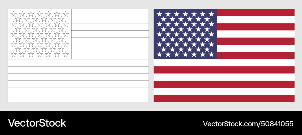 US Flag Wireframe & Colored Set Royalty Free Vector