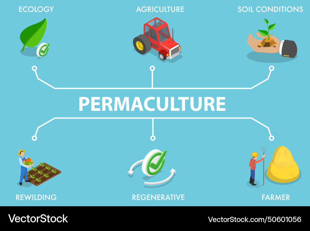 3d Isometric Flat Royalty Free Vector Image Vectorstock