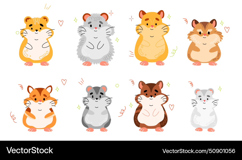 Hamster breeds cute little pets different types Vector Image