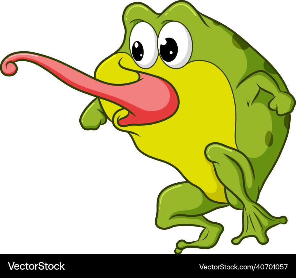 Frog sticks out its long tongue Royalty Free Vector Image