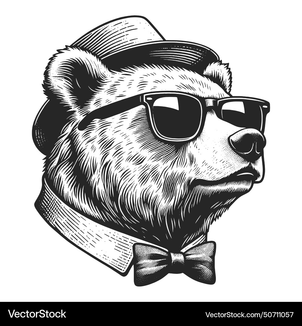 Hipster bear with hat and sunglasses engraving Vector Image
