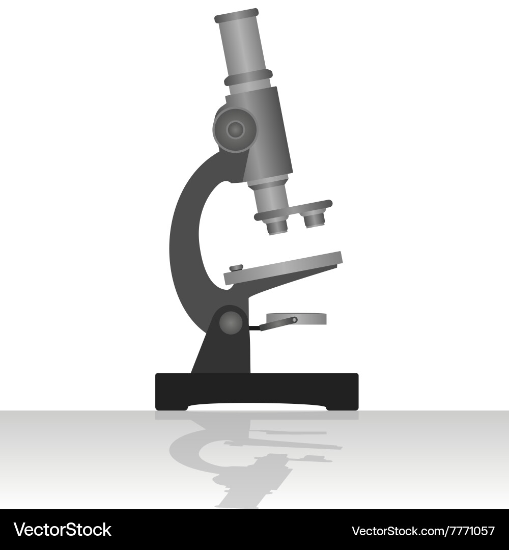 Microscope Royalty Free Vector Image - VectorStock