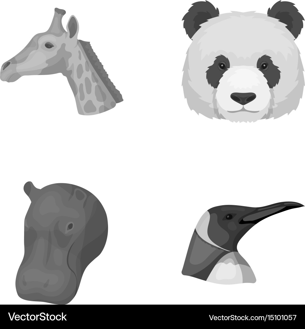 Panda giraffe hippopotamus penguin realistisch Vektorbild