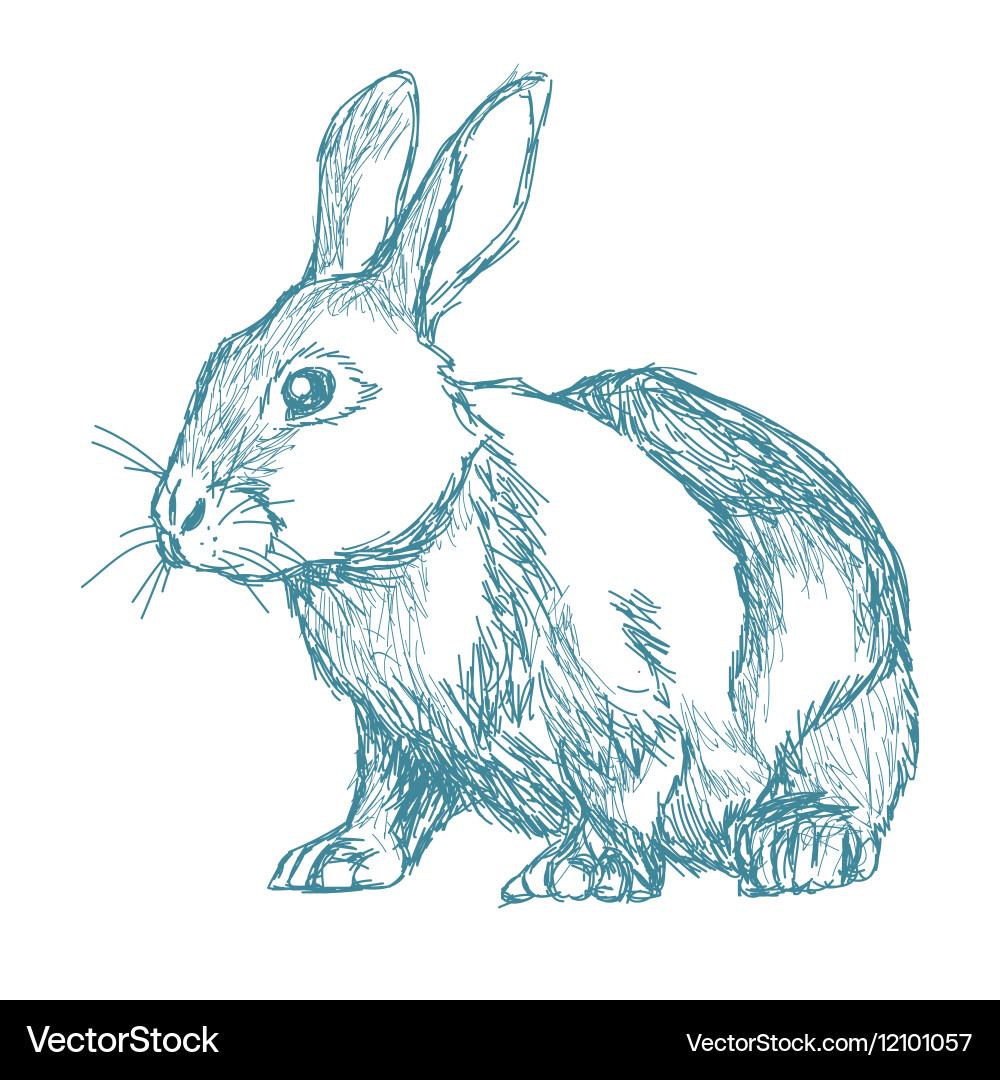 Rabbit sketch blue vintage Royalty Free Vector Image