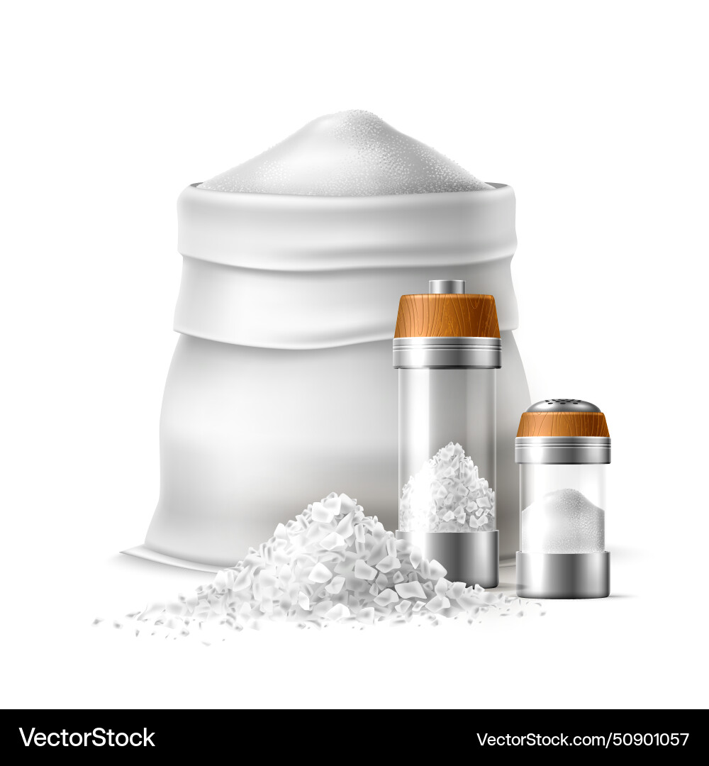 Realistic salt composition food products salty Vector Image