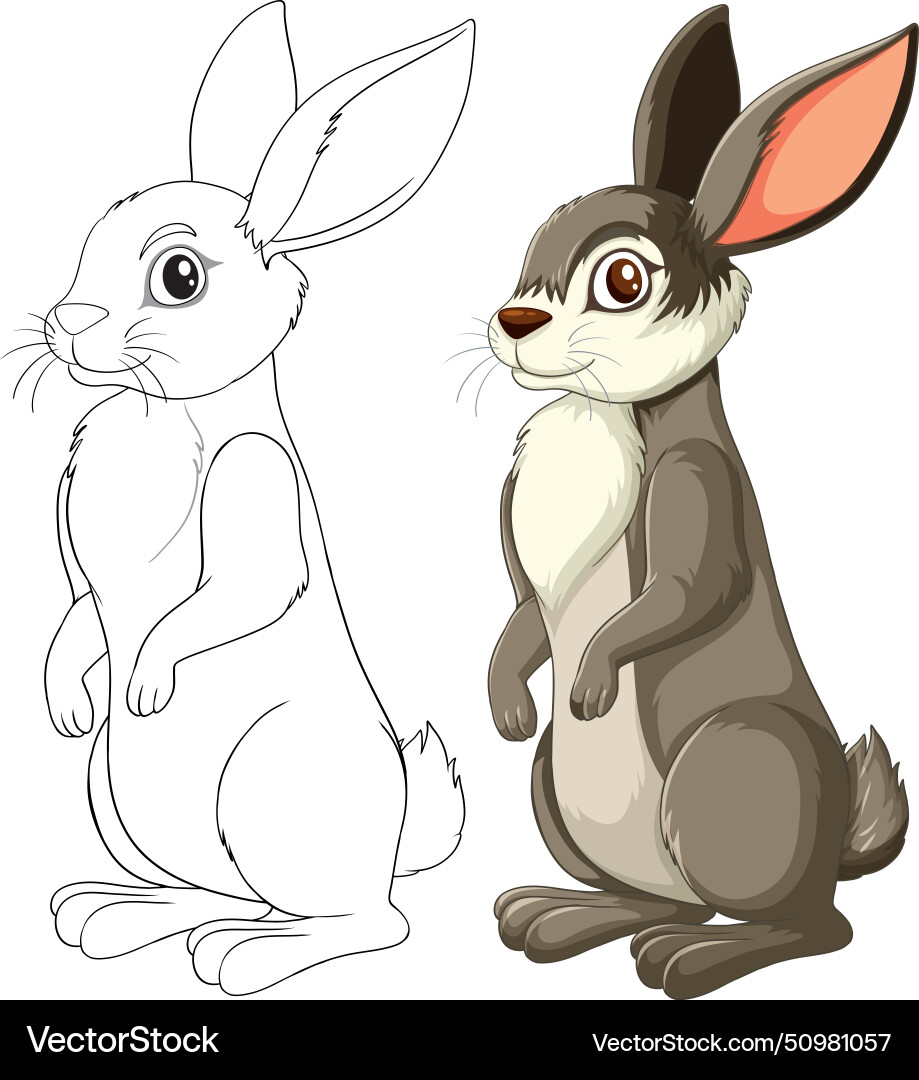 Two rabbits one sketched and colored Royalty Free Vector