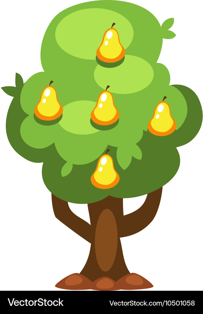 Pear tree Royalty Free Vector Image - VectorStock