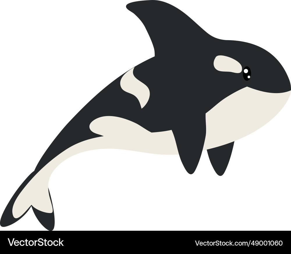 Killer whale Royalty Free Vector Image - VectorStock