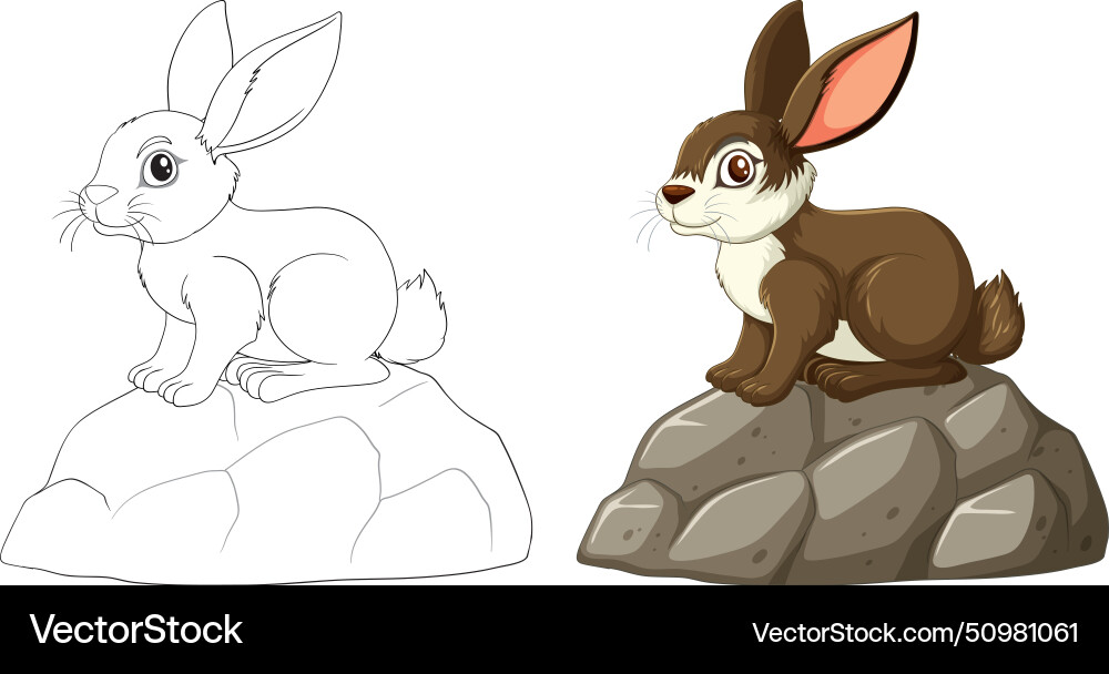 A rabbit sitting on rock Royalty Free Vector Image