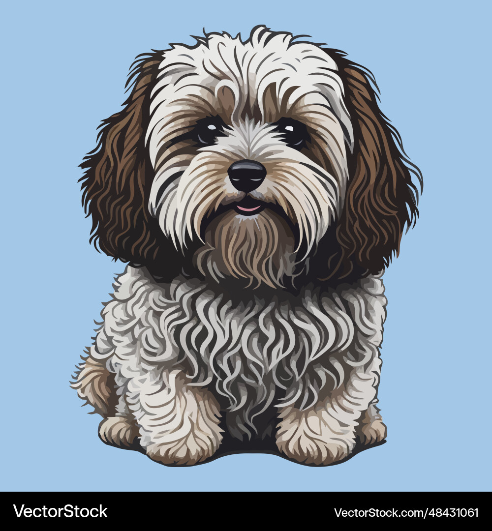 Cute havanese dog isolated on a plain background Vector Image