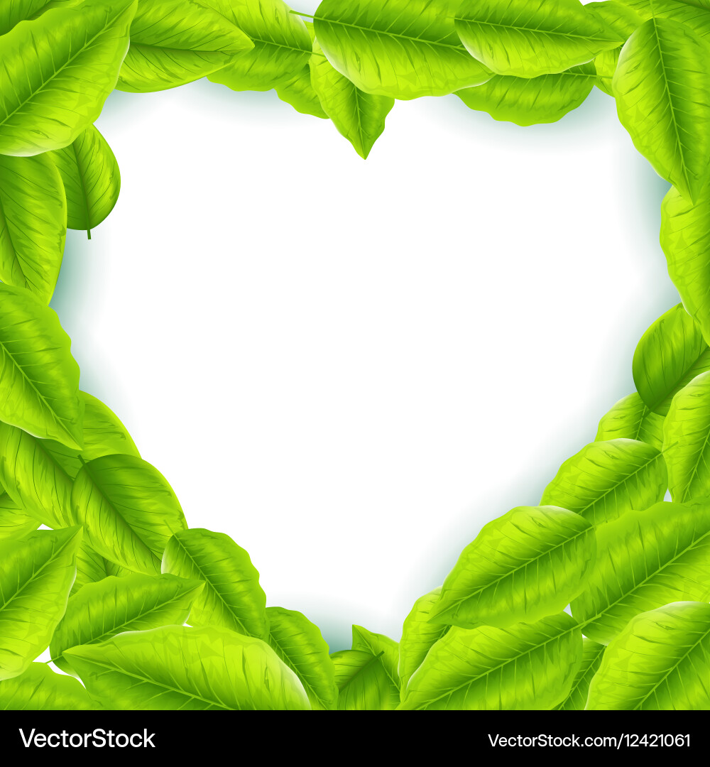 Fresh green leaves with heart shaped frame Vector Image