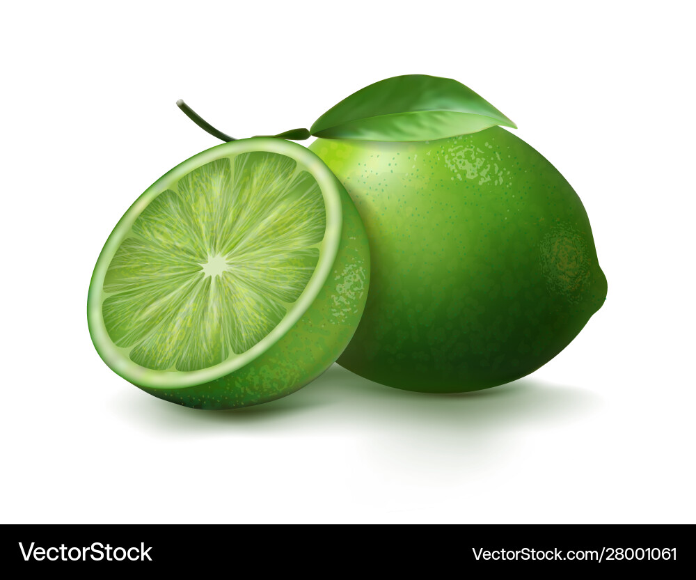 Fresh lime and slice with leaves Royalty Free Vector Image