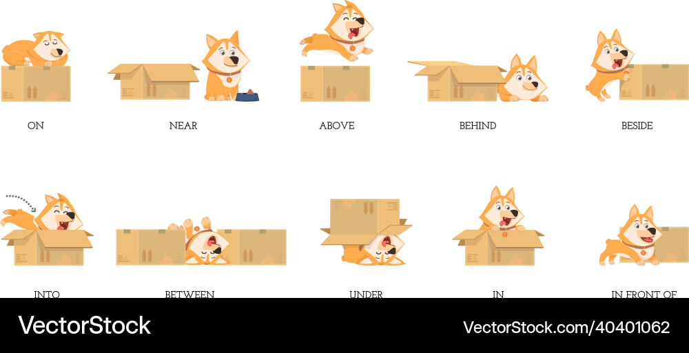 Preposition english prepositions learning beside Vector Image