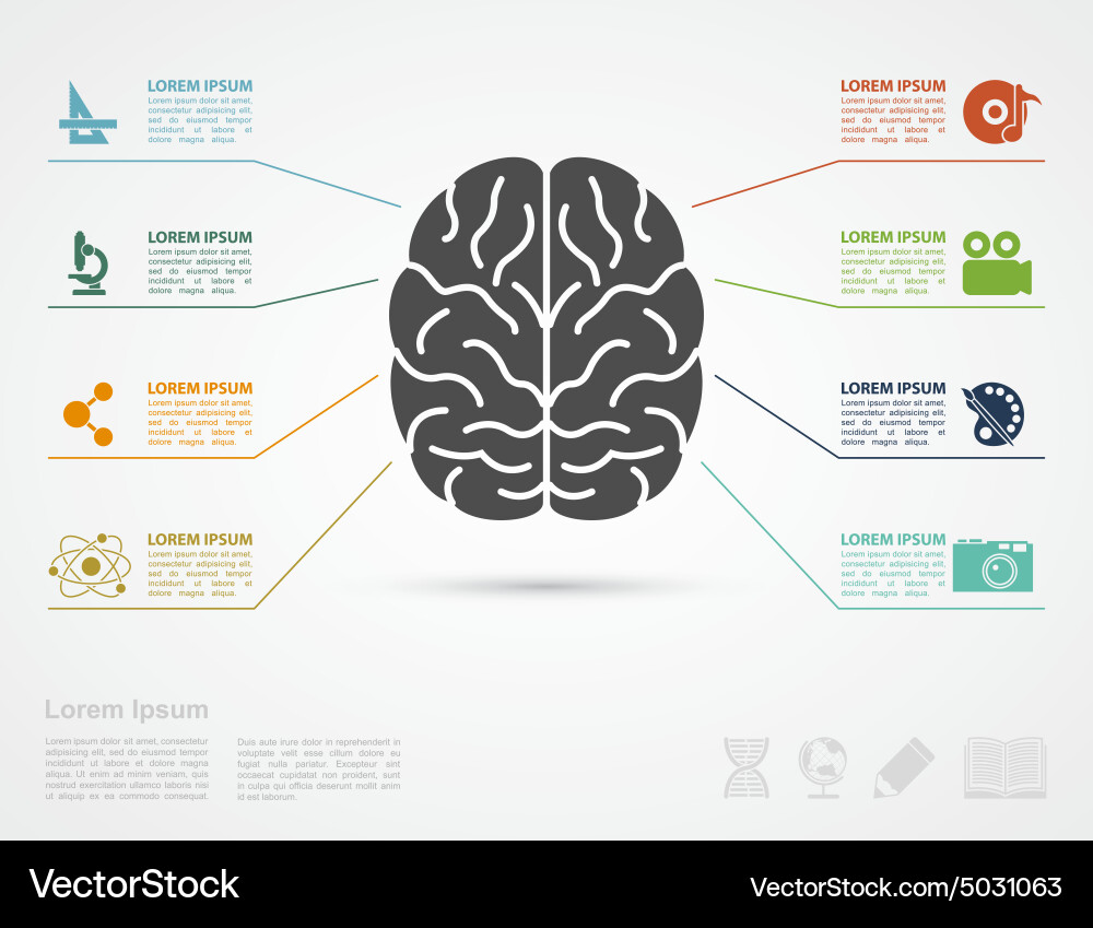 Brain concept infographic Royalty Free Vector Image
