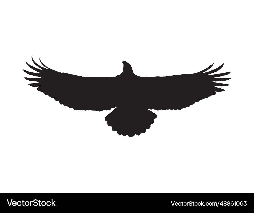Eagle silhouette art Royalty Free Vector Image