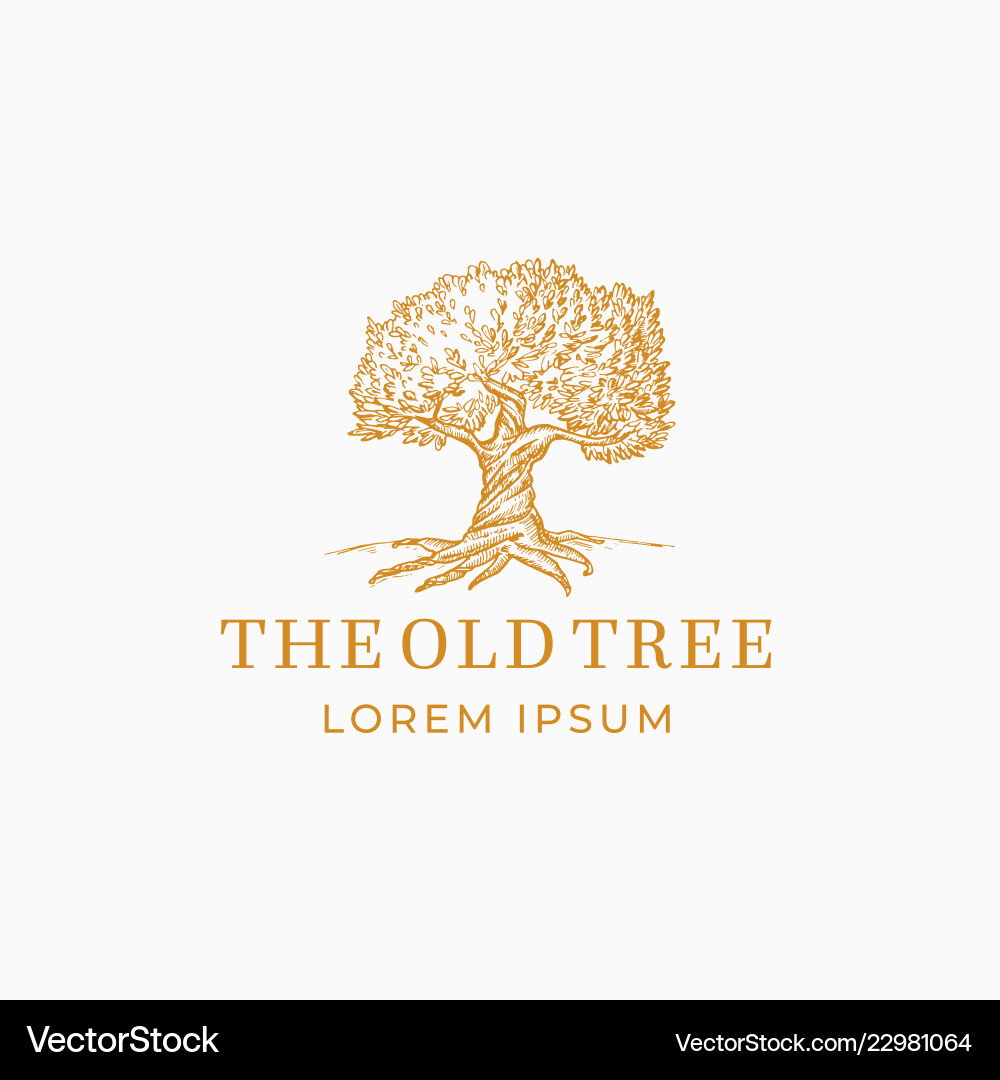 Twisted Roots Vector Images (over 790)