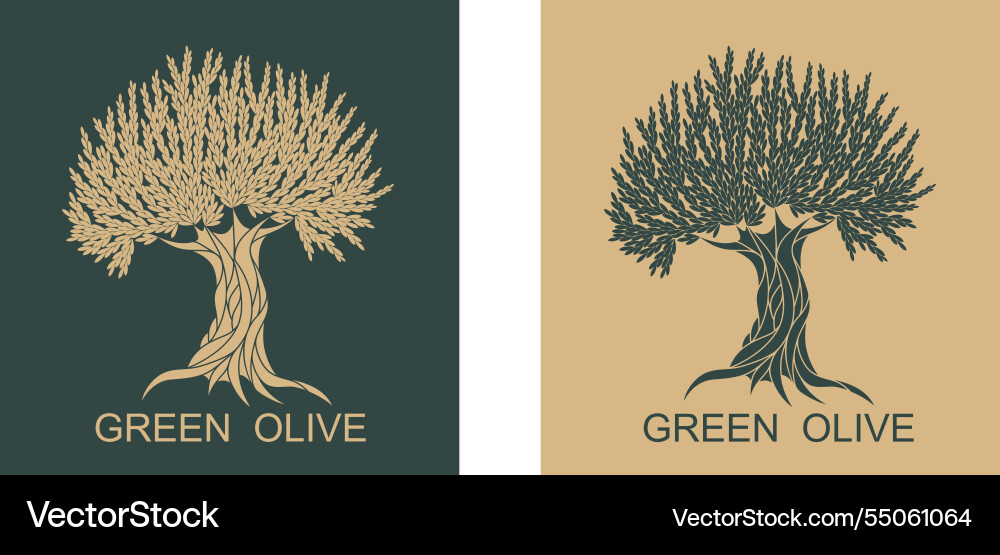 Olive tree Royalty Free Vector Image - VectorStock