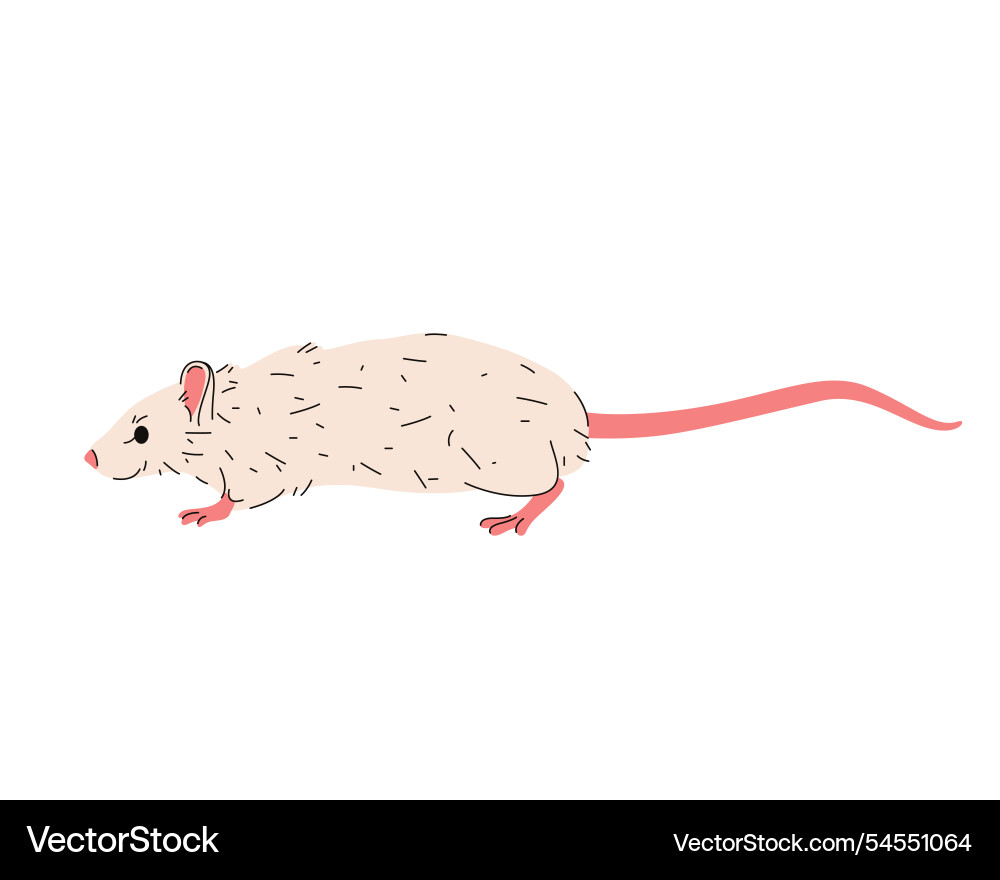 Wild mouse or rat side view cartoon icon Vector Image