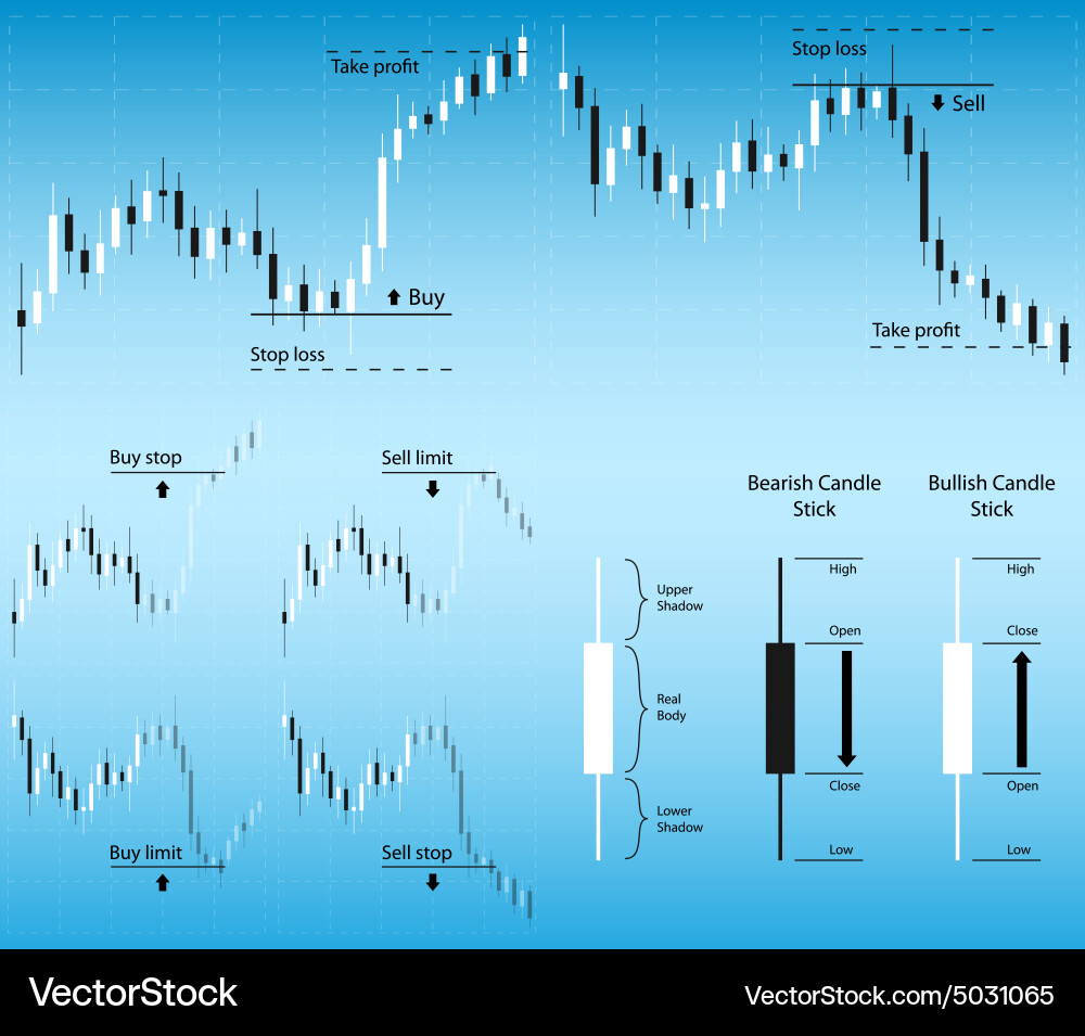 Candlestick Chart Analysis Royalty Free Vector Image