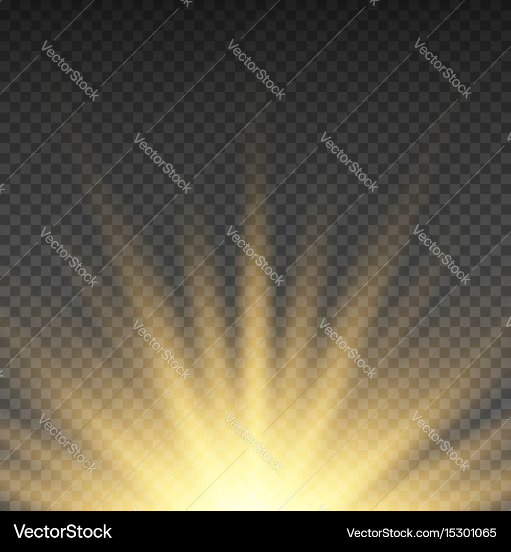 Golden Sun Rays Burst Royalty Free Vector Image