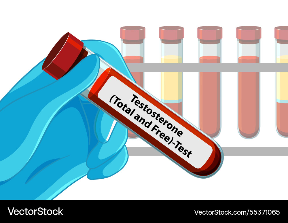 Hand holding testosterone test tube in lab Vector Image