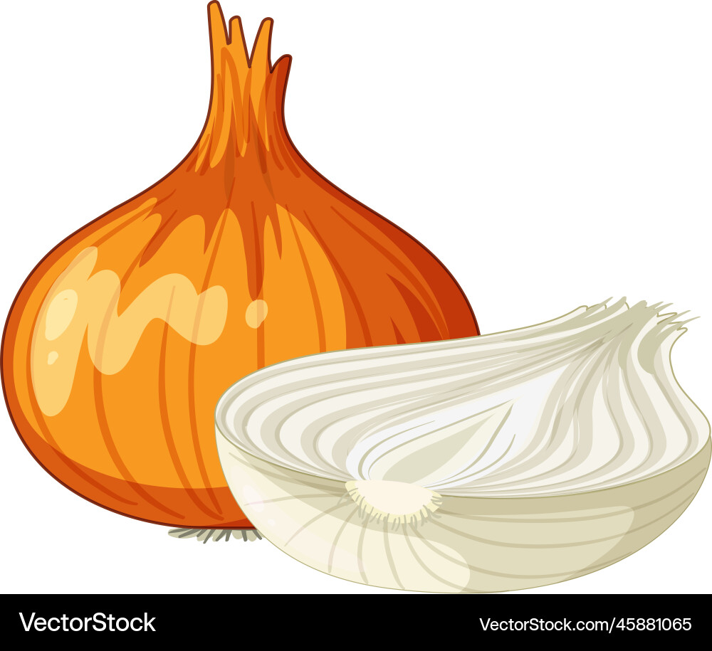 Isolated onion cartoon style Royalty Free Vector Image