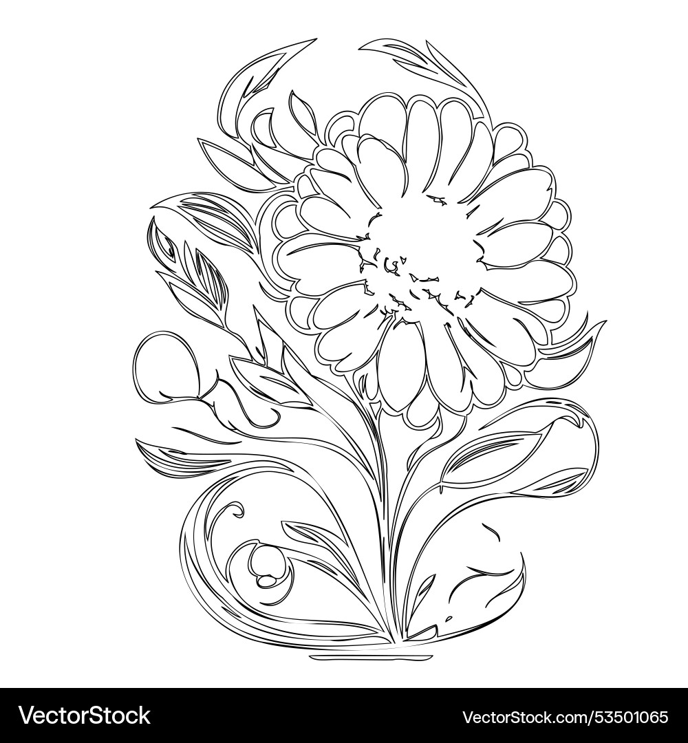 Marigold spiral outline sketch Royalty Free Vector Image