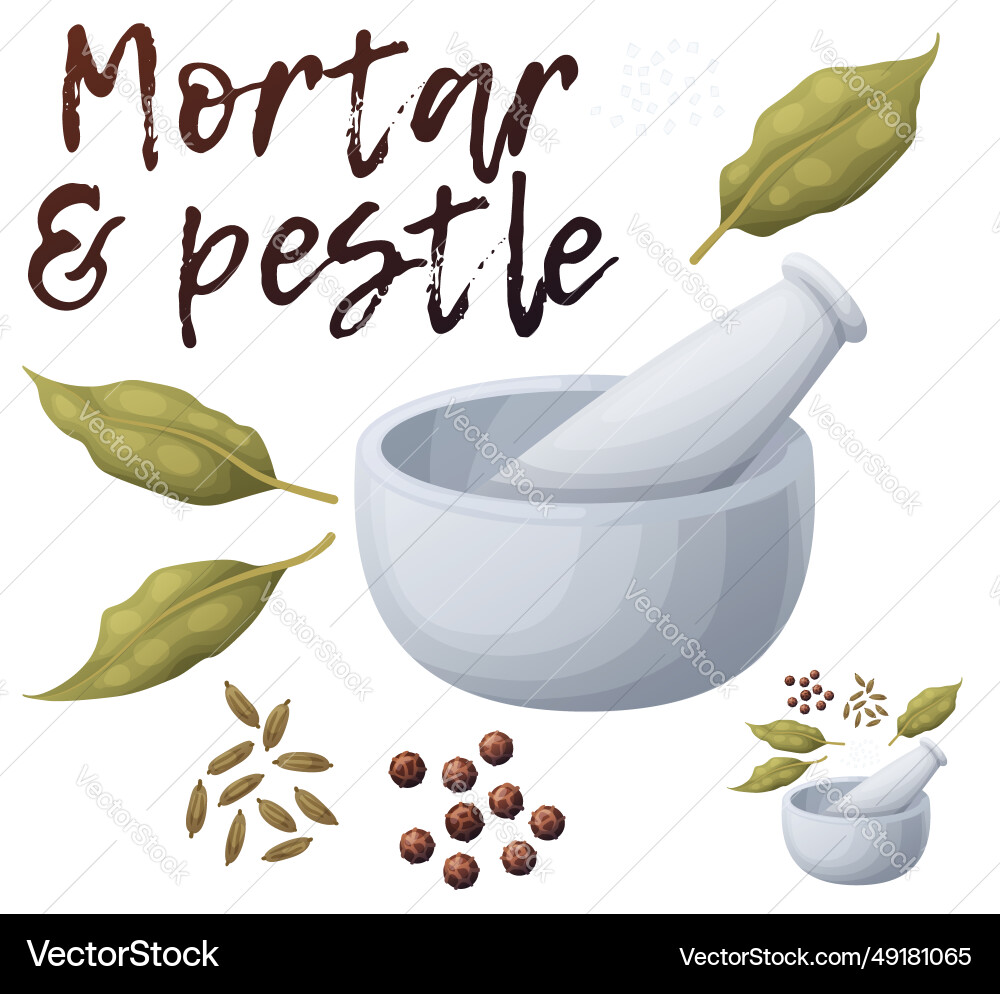 Mortar and pestle with spices herbs icon Vector Image