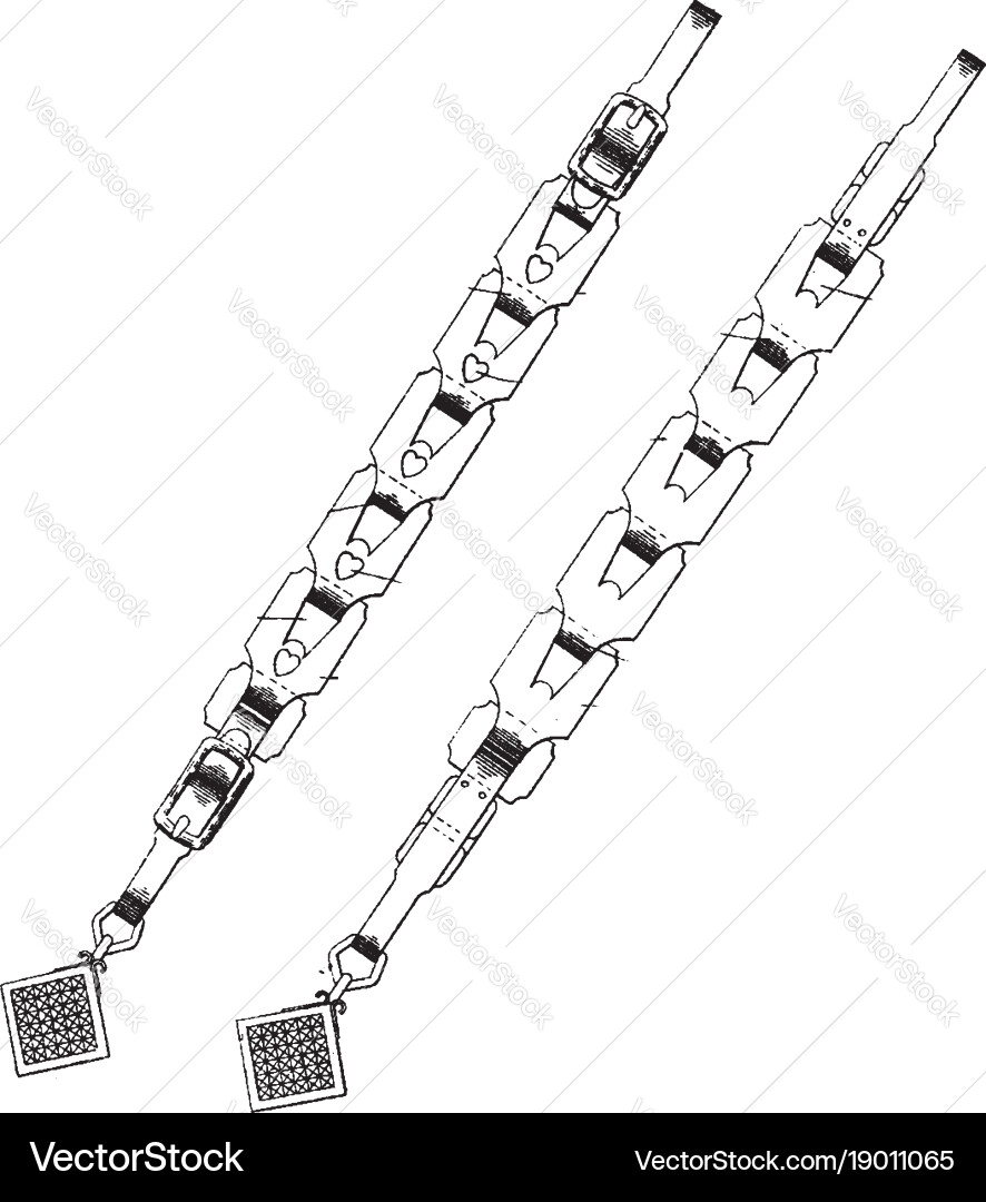 Optional two view design of watch chains vintage Vector Image