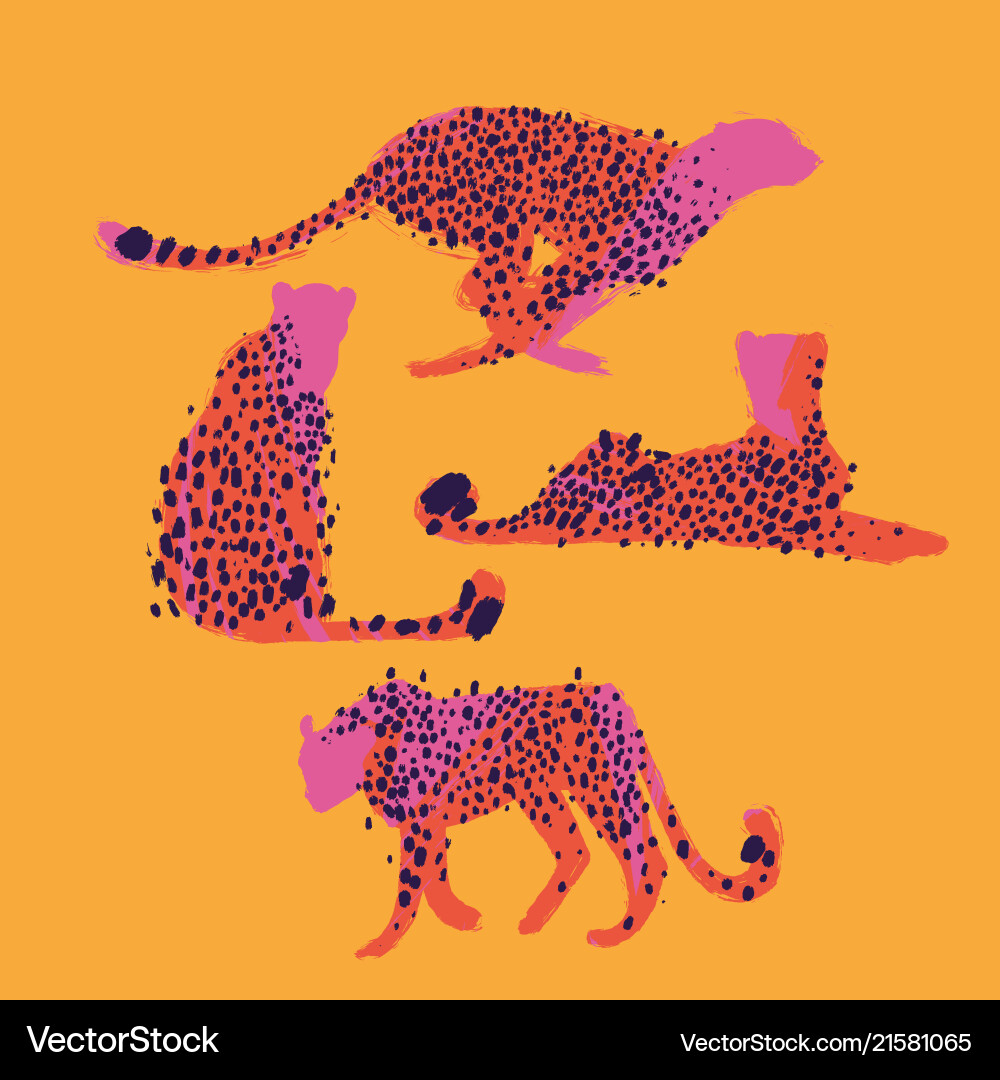 Rough Cheetah Collection Royalty Free Vector Image