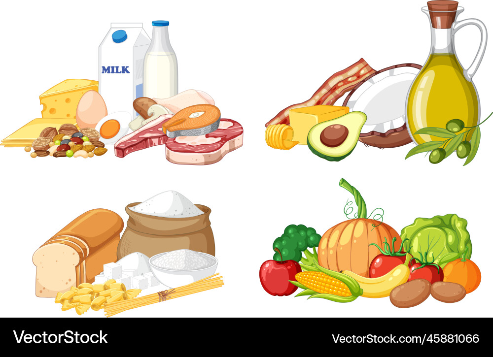 Main food groups macronutrients Royalty Free Vector Image