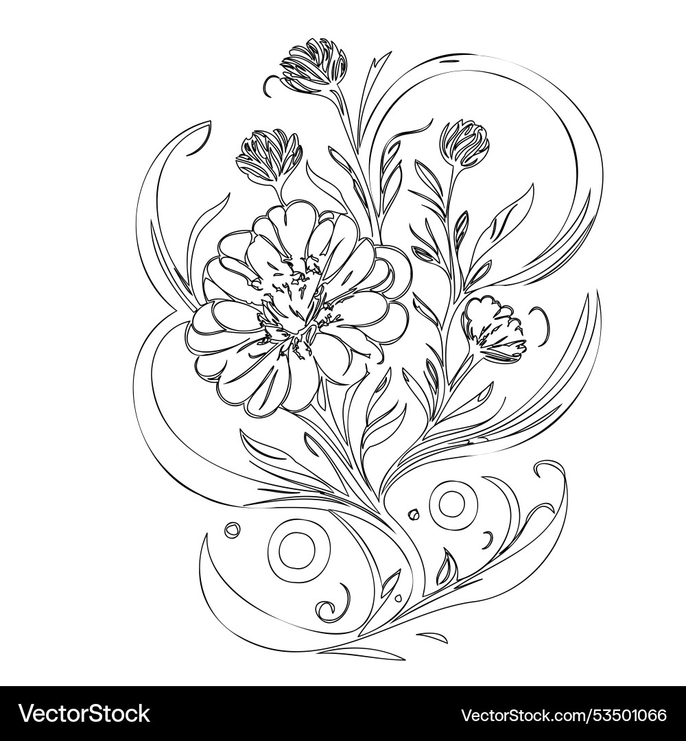 Marigold spiral outline sketch Royalty Free Vector Image